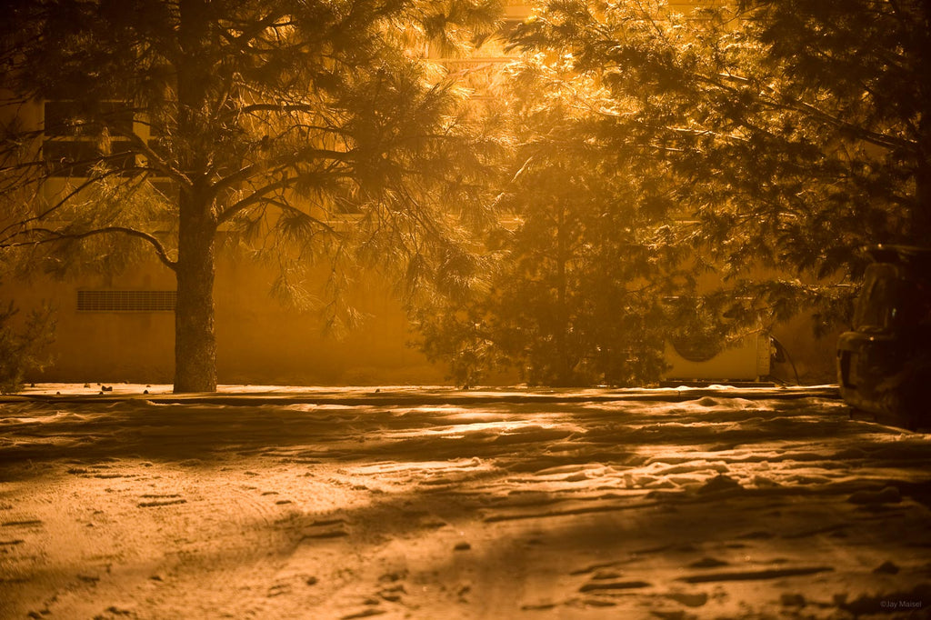 100 No 62 – Jay Maisel