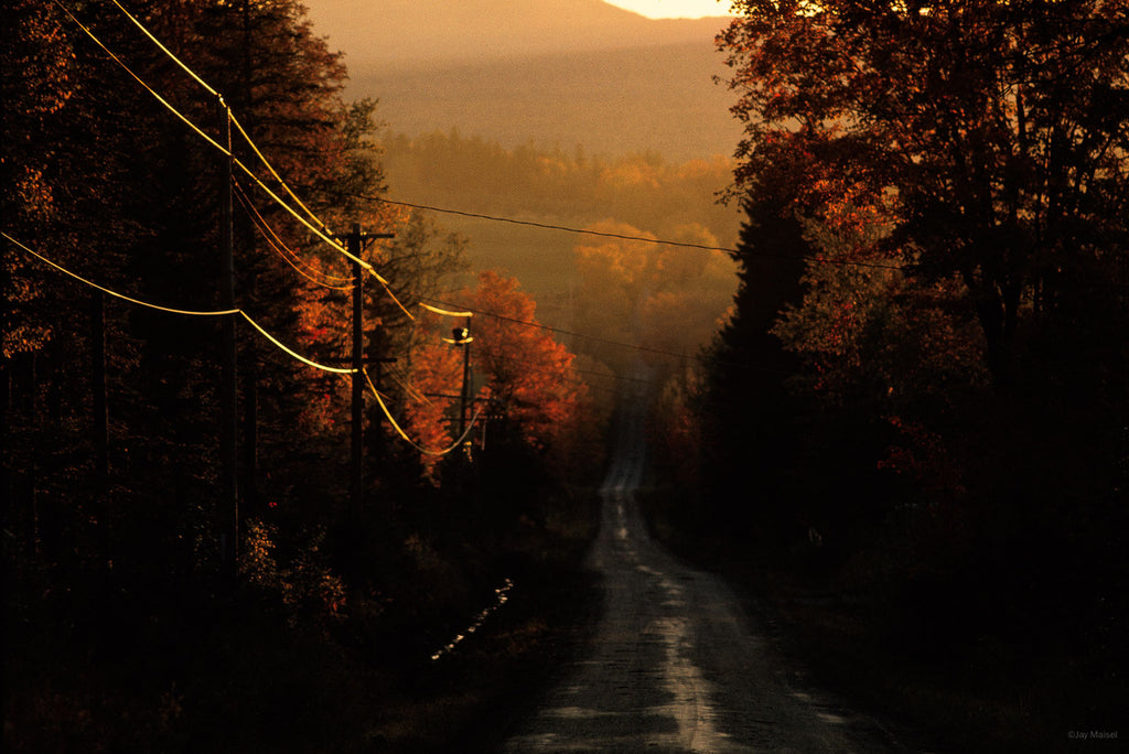 X-USA Roads No 63 – Jay Maisel