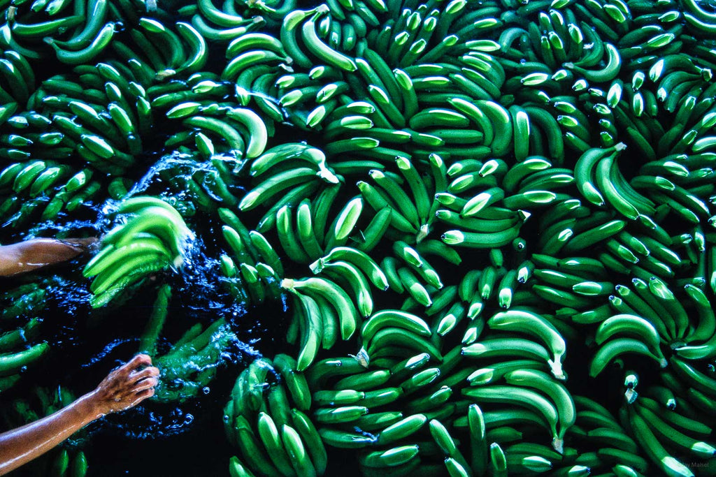 Banana Wash, Costa Rica – Jay Maisel