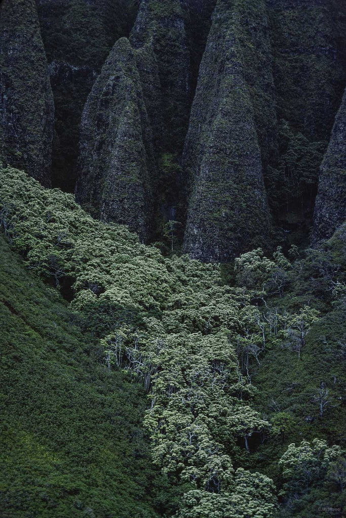 Hawaii Land No 7 – Jay Maisel