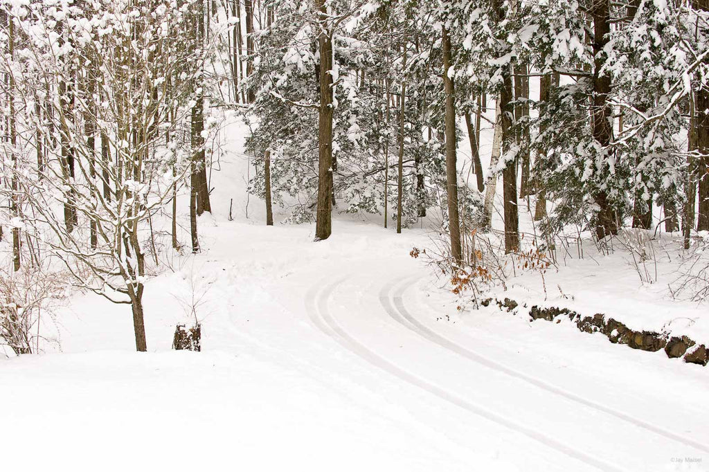 Snow in the Country No 19 – Jay Maisel