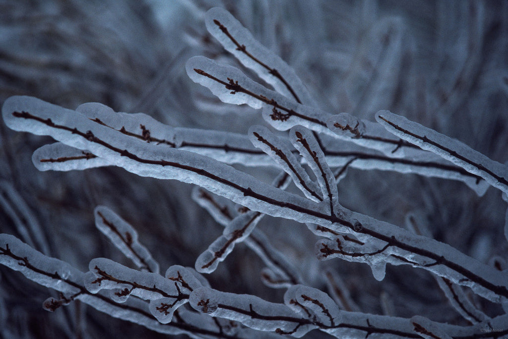 Snow in the Country No 33 – Jay Maisel