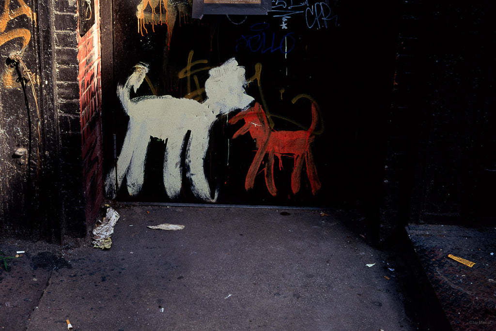 Graffiti No 38 – Jay Maisel