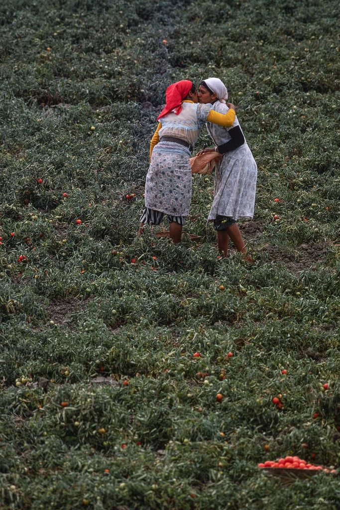 Tomatoes, Morocco 5 – Jay Maisel