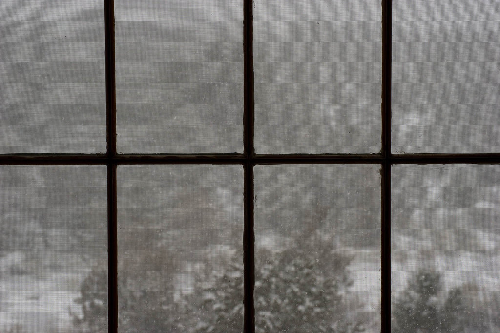 Snow in the Country No 68 – Jay Maisel