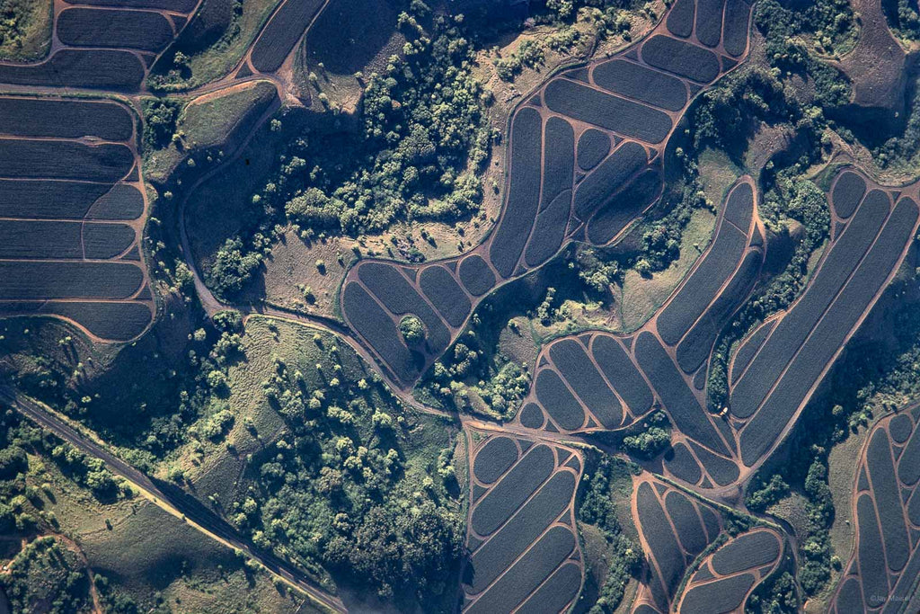 Hawaii Land No 88 – Jay Maisel