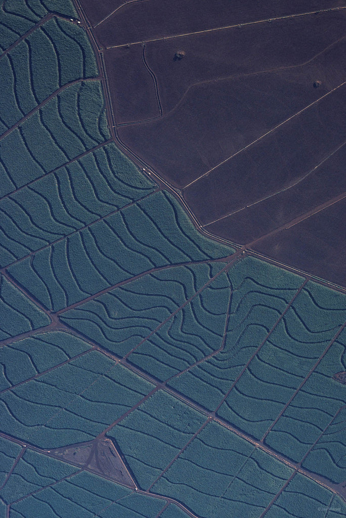 Hawaii Land No 91 – Jay Maisel