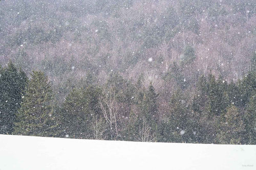 Snow in the Country II – Jay Maisel