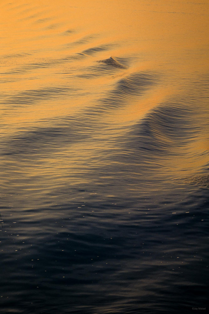 Wake of Boat, Burano – Jay Maisel