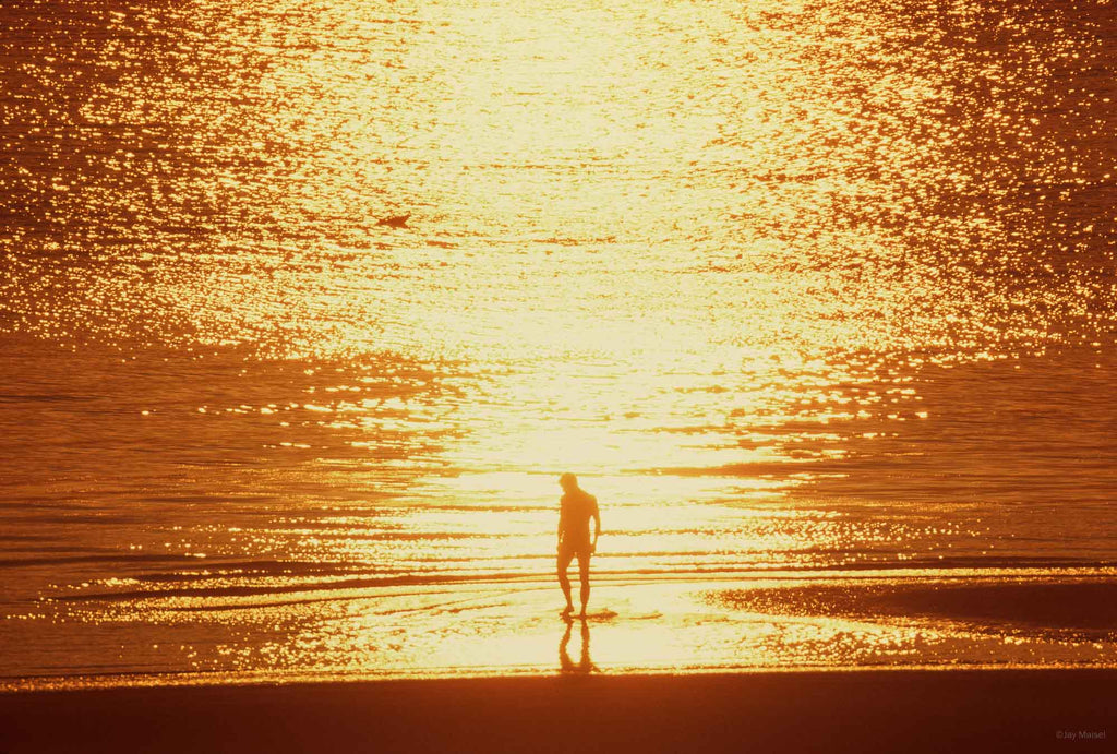 Backlit Figure, Sea Sunset – Jay Maisel