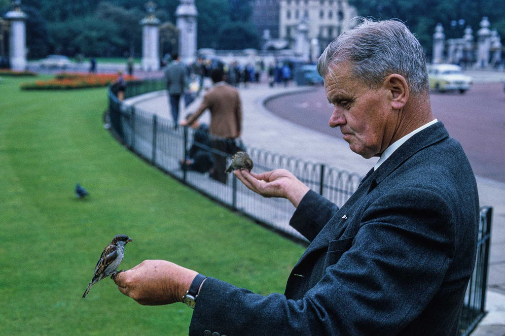 Man with Bird, London – Jay Maisel
