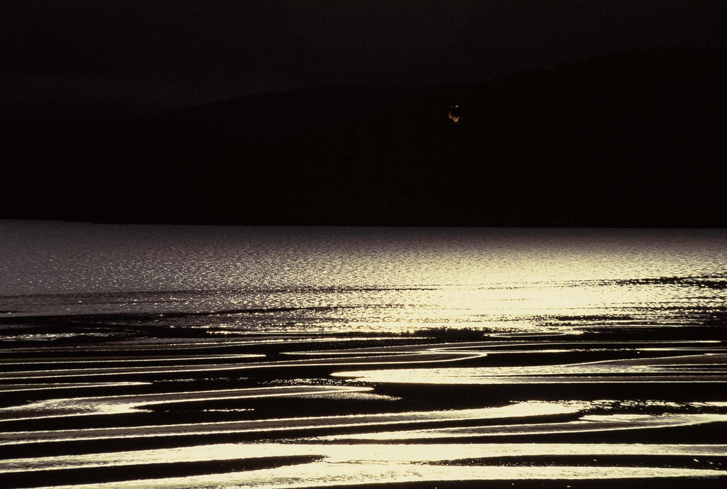 Backlit Sea with Bird in Sky, Australia – Jay Maisel