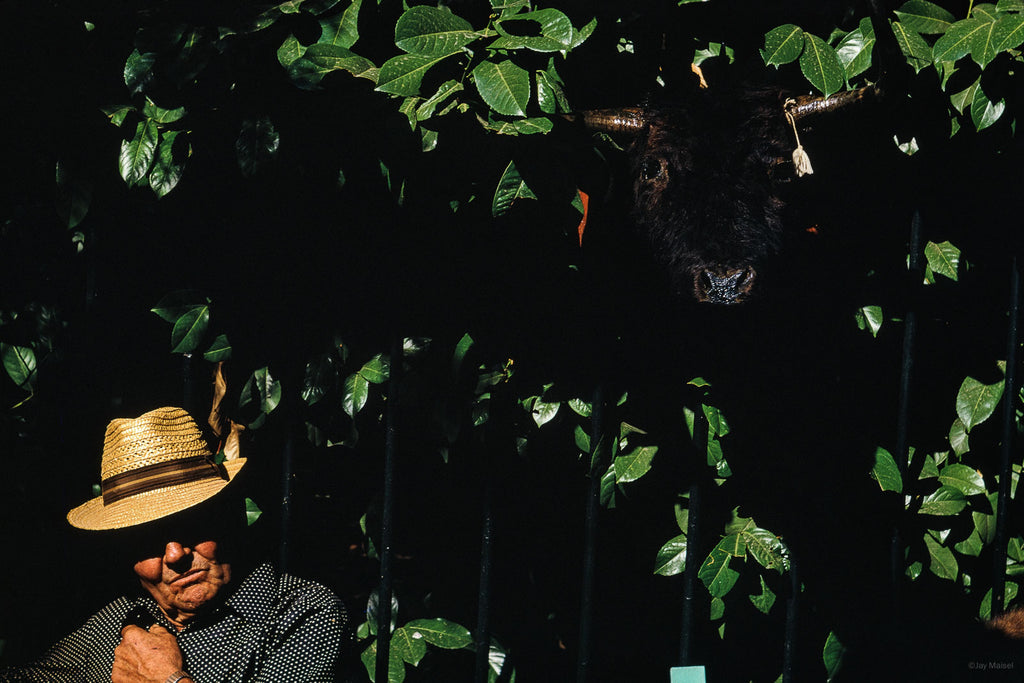 Man in Straw Hat, Bull Head, France – Jay Maisel