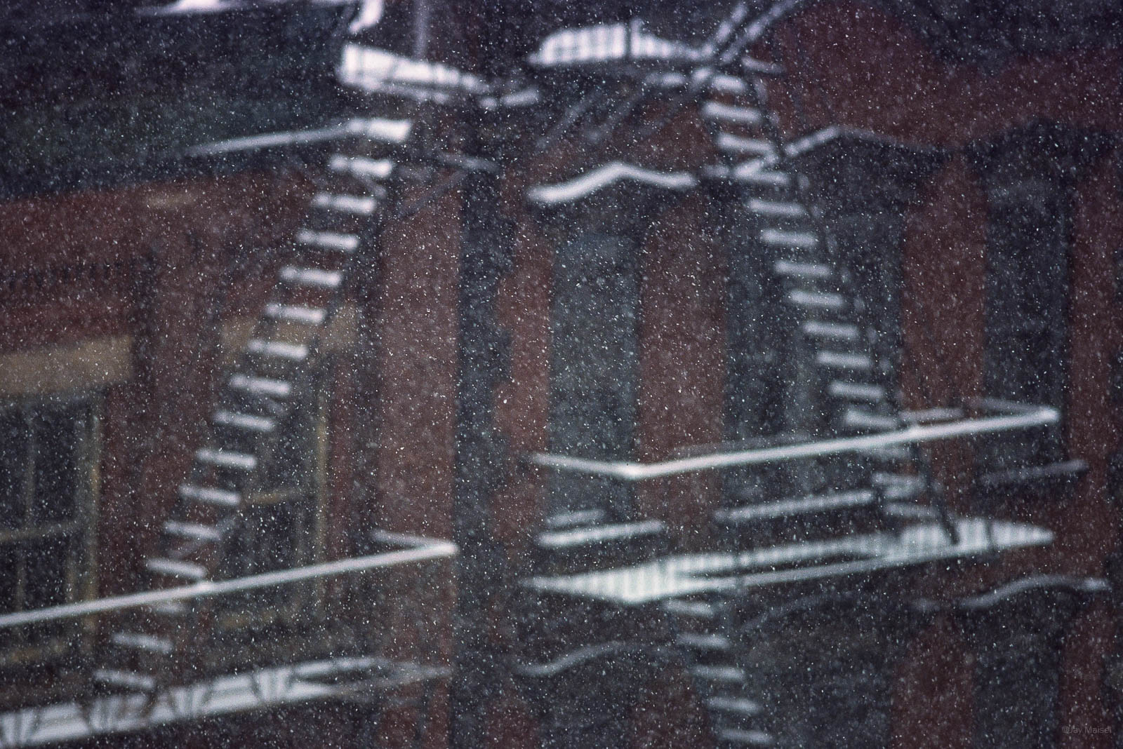 Snow I – Jay Maisel