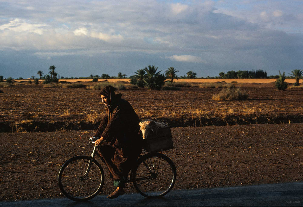 Man on Bike with Ram, Marrakech – Jay Maisel