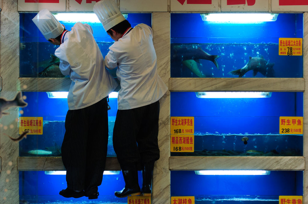 Two Chefs, Blue, with Fish, Shanghai – Jay Maisel