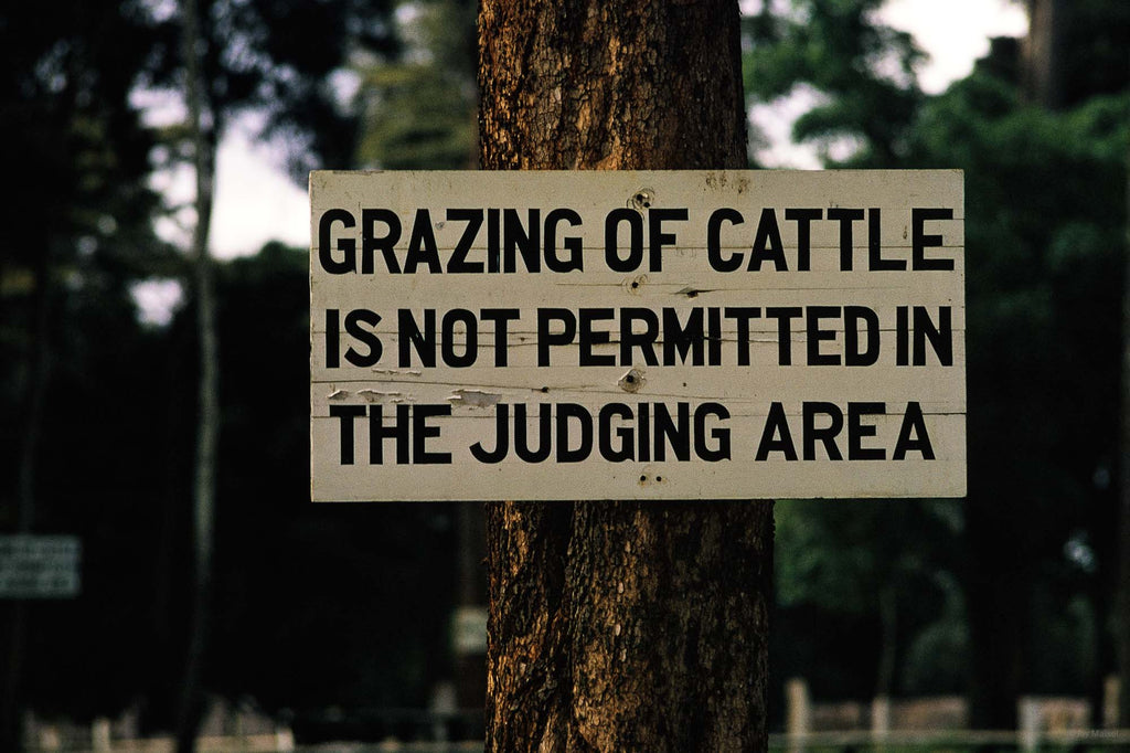 Grazing of Cattle Sign, Kenya – Jay Maisel